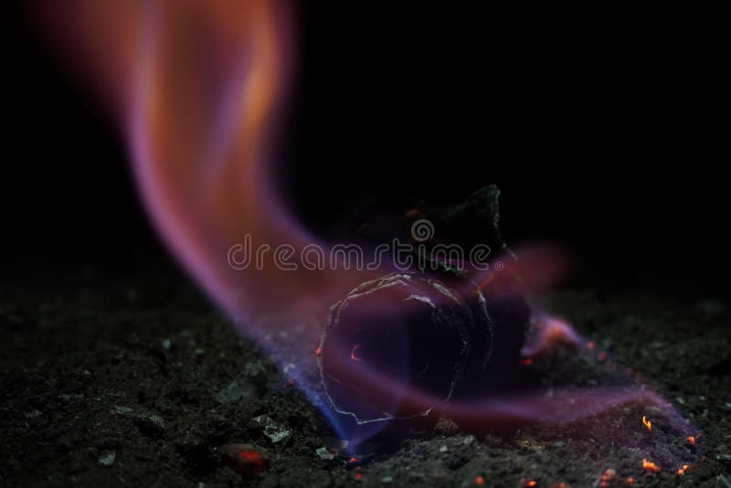 Rose from ashes stock image. Image of dirt, ashes, background - 80450779