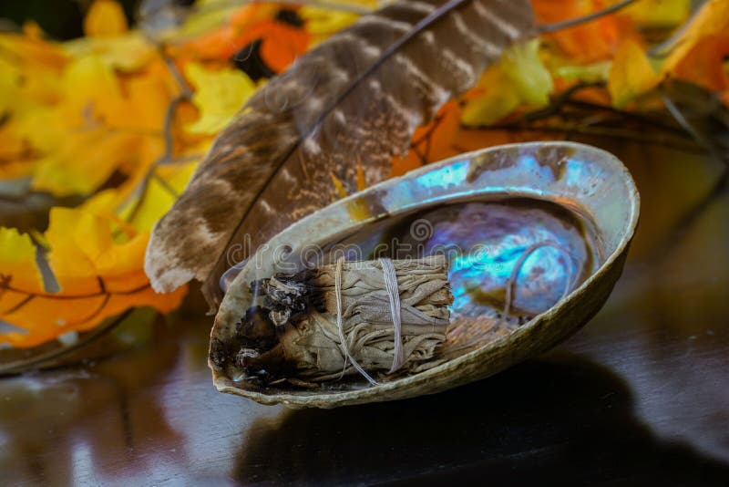Sage in Abalone Shell for Meditating Stock Photo - Image of ground ...