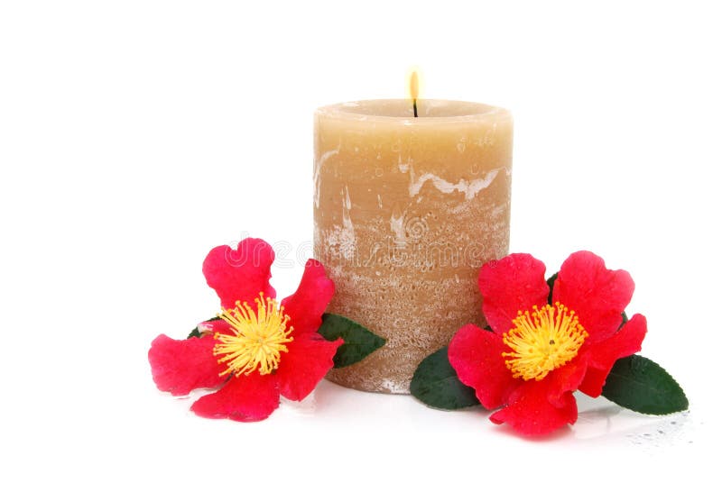 Burning scent stock photo. Image of flowers, water, fresh - 7630016