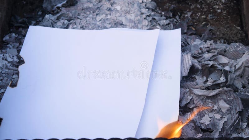 Sheets Documents Falling. Cinematic 3d Rendering Animation Stock Video ...