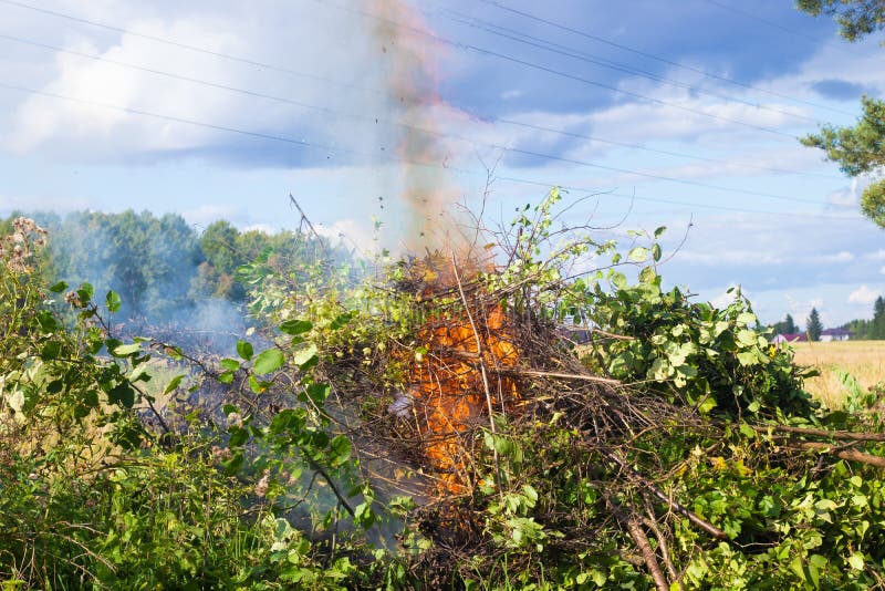 Burning Sick Bushes. Big Fire. Smoke from the Fire Stock Photo - Image ...