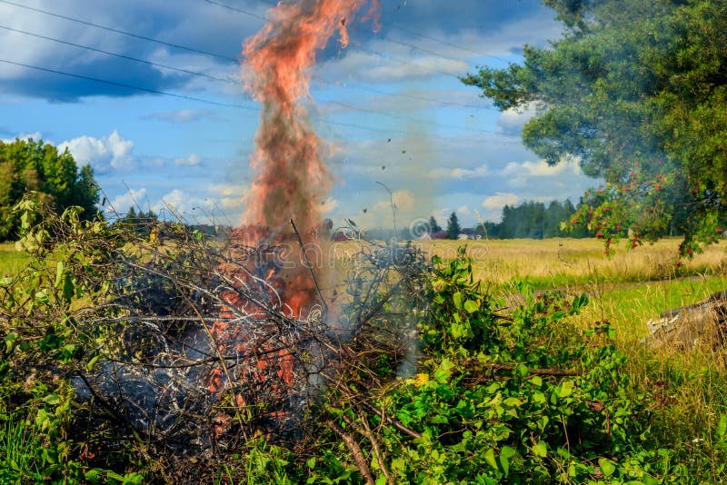 Burning Sick Bushes. Big Fire. Smoke from the Fire Stock Image - Image ...
