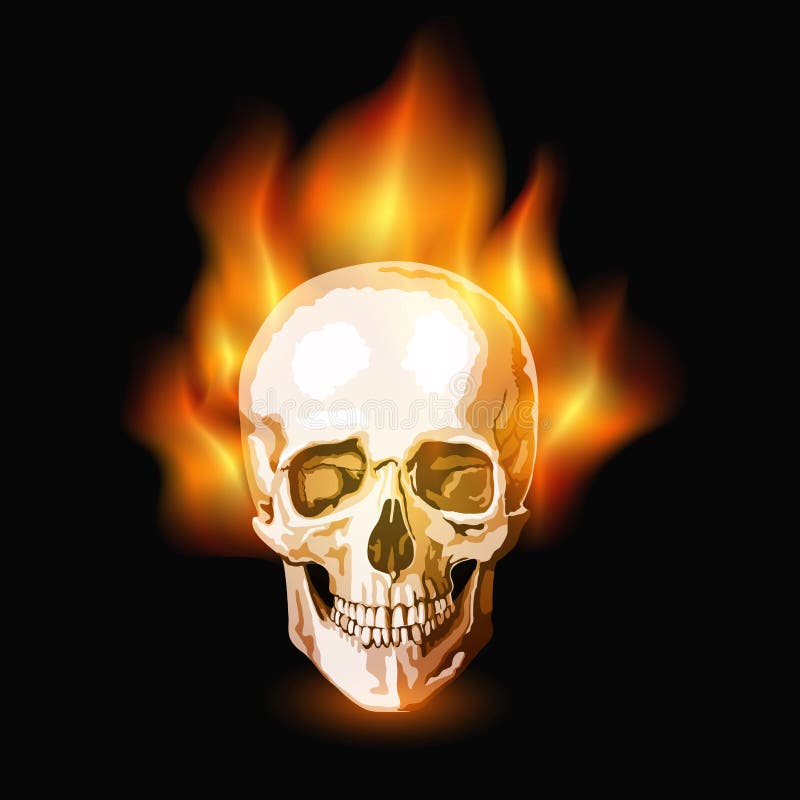 Burning Skull Stock Vector - Image: 59415353