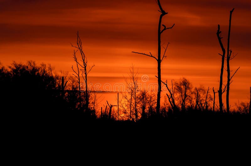 Sunrise and sunset stock image. Image of fresh, country - 109890389