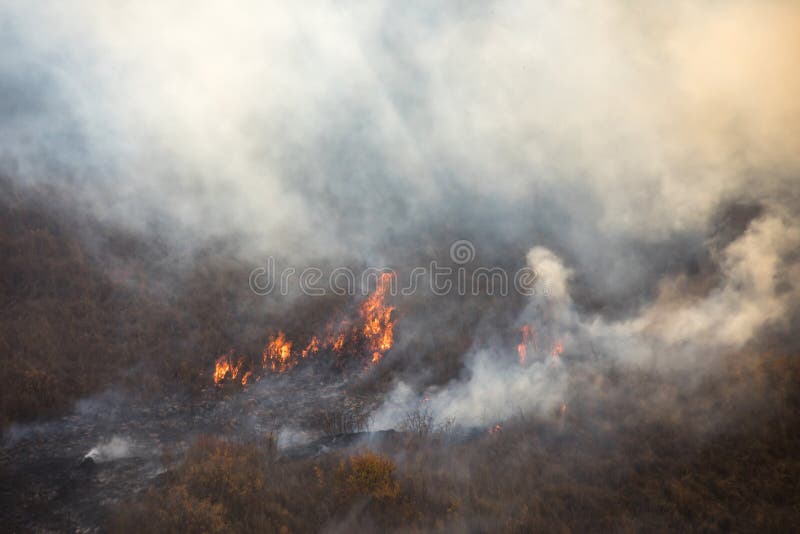 Red Sun from Smoke of Forest Fires Stock Image - Image of heat, tree ...