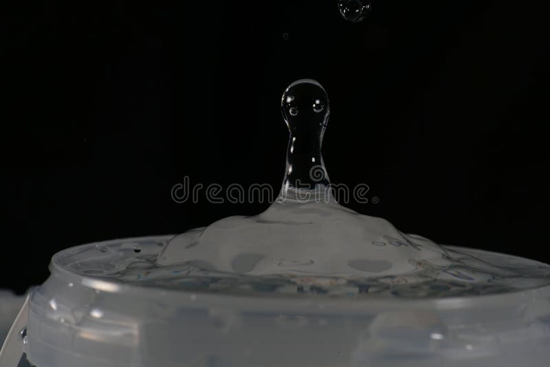 Burning Star Pitcher Photographed in the Studio Stock Photo - Image of ...