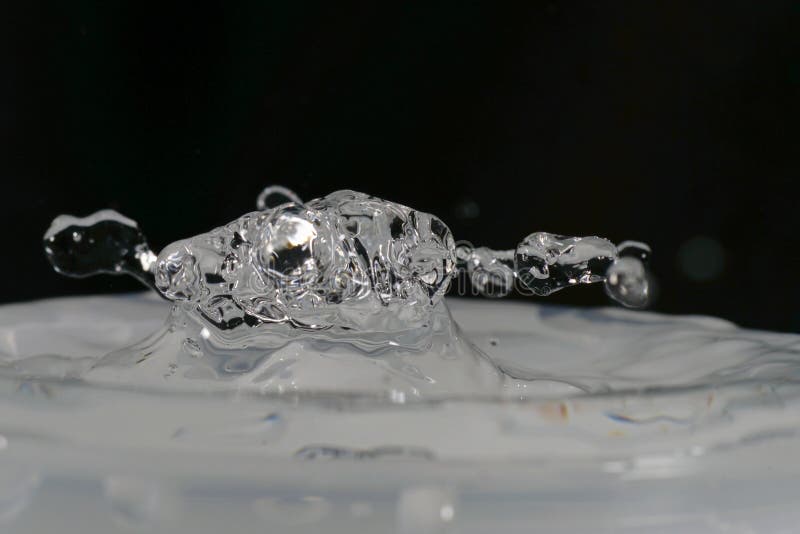 Burning Star Pitcher Photographed in the Studio Stock Image - Image of ...
