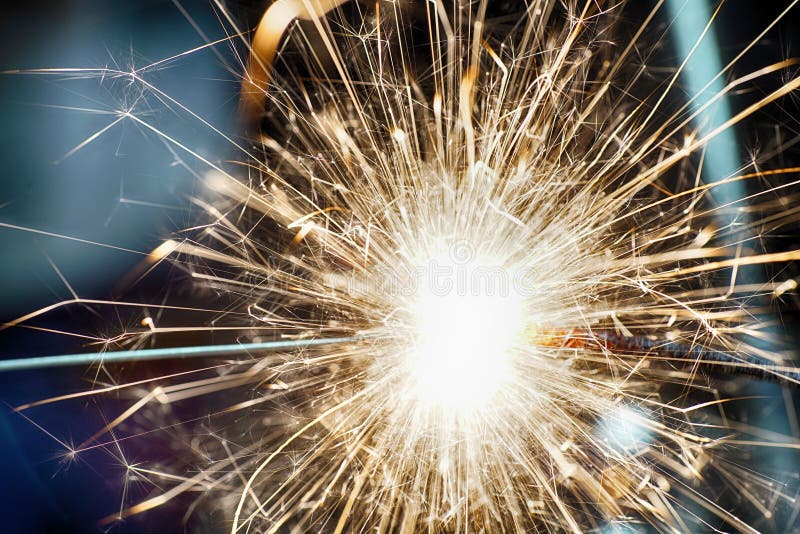 Burning Star Pitcher Photographed in the Studio Stock Photo - Image of ...