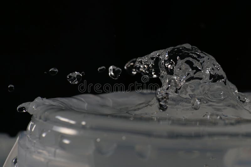Burning Star Pitcher Photographed in the Studio Stock Image - Image of ...