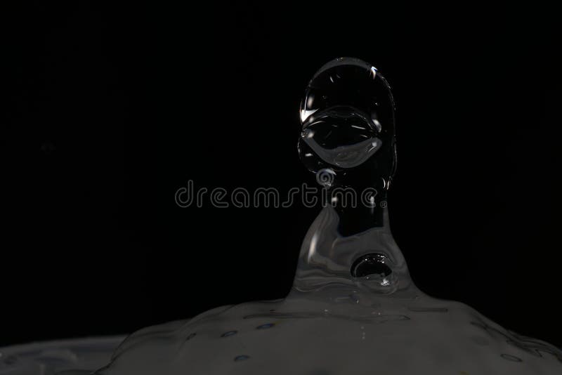 Burning Star Pitcher Photographed in the Studio Stock Image - Image of ...