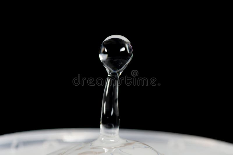 Burning Star Pitcher Photographed in the Studio Stock Image - Image of ...