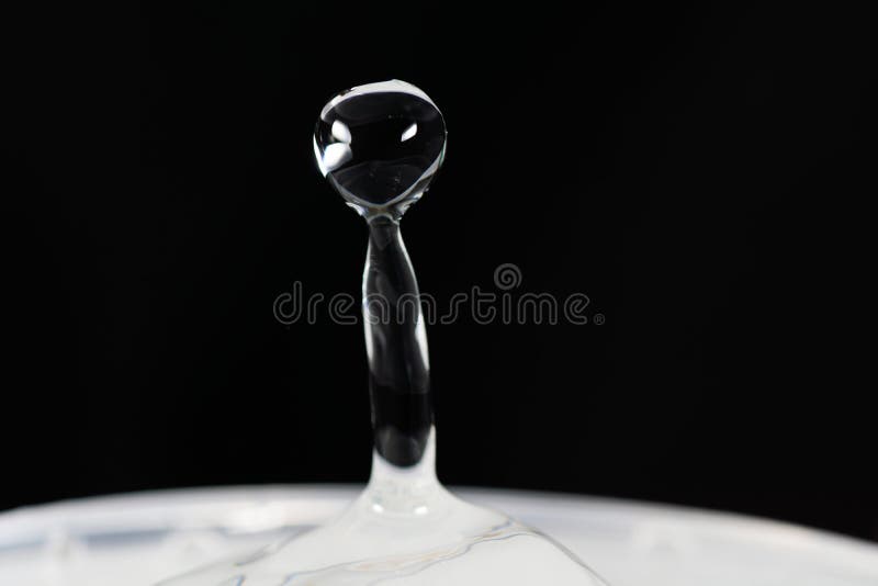 Burning Star Pitcher Photographed in the Studio Stock Photo - Image of ...