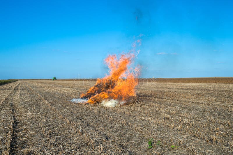 Burning of straw stock image. Image of fire, land, prescribed - 34946973