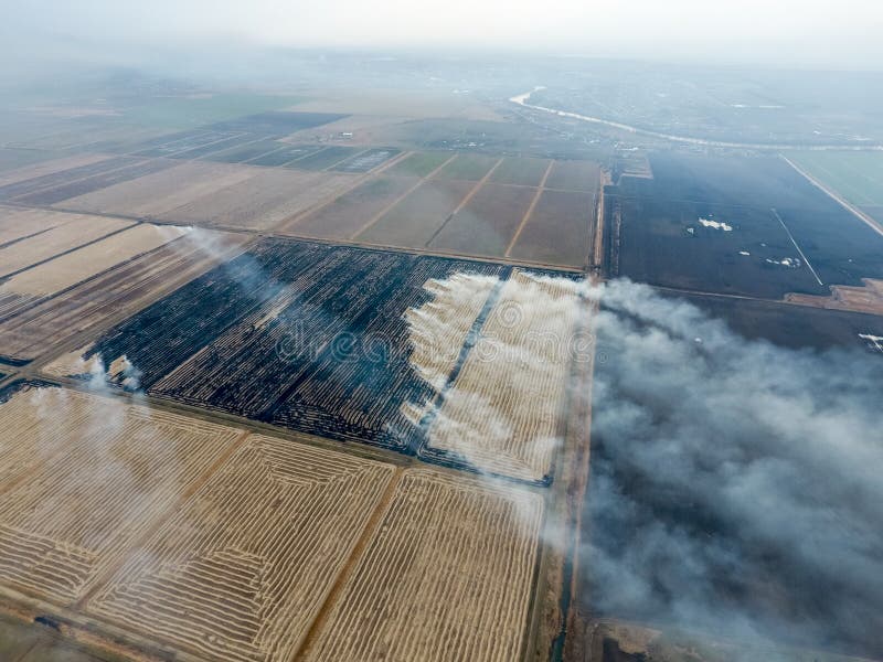 Burning Straw in the Fields Stock Photo - Image of grass, destruction ...