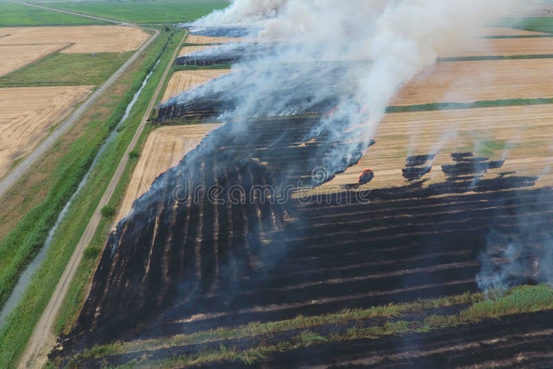 Burning Straw in the Fields of Wheat after Harvesting Stock Photo ...