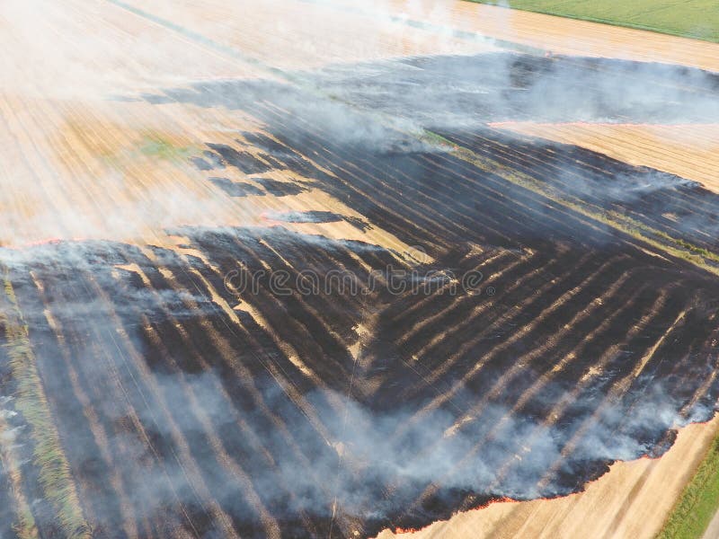 Burning Straw in the Fields of Wheat after Harvesting Stock Photo ...