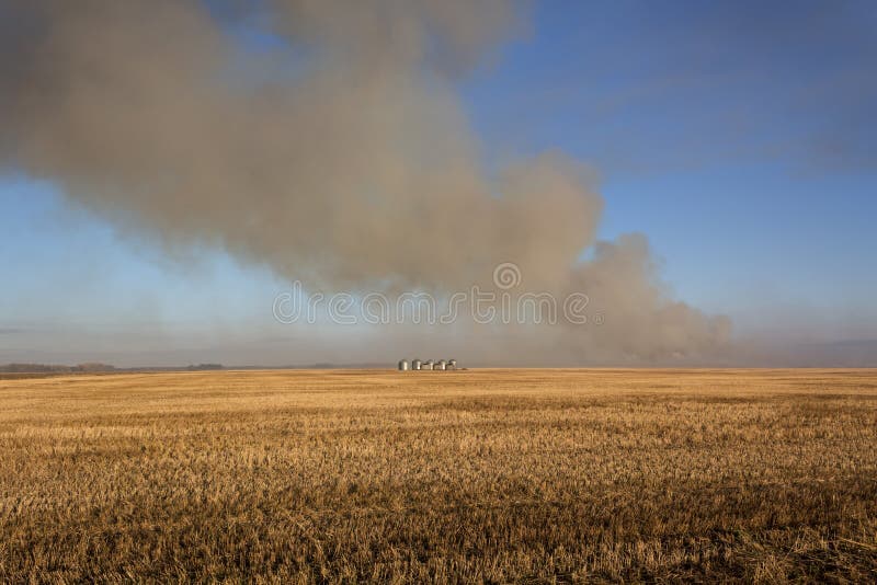 Burning stubble stock image. Image of ground, rural, danger - 60561313