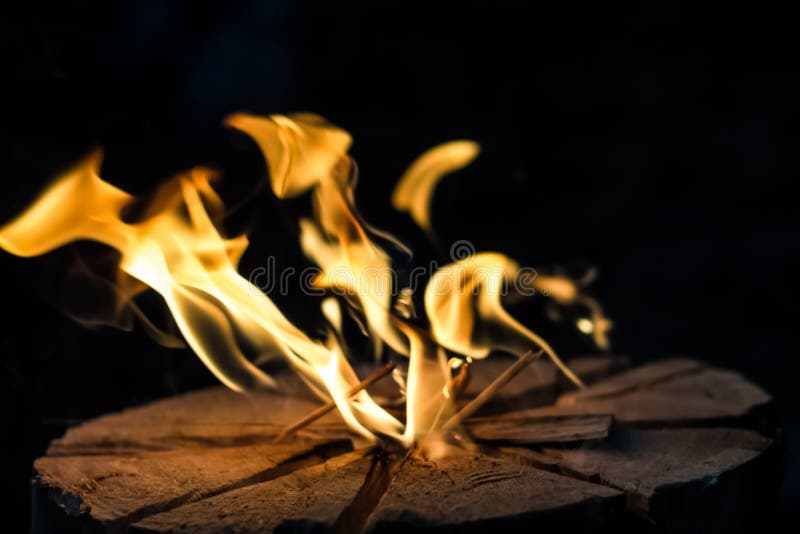 Burning the stump. stock photo. Image of yellow, flame - 96885534