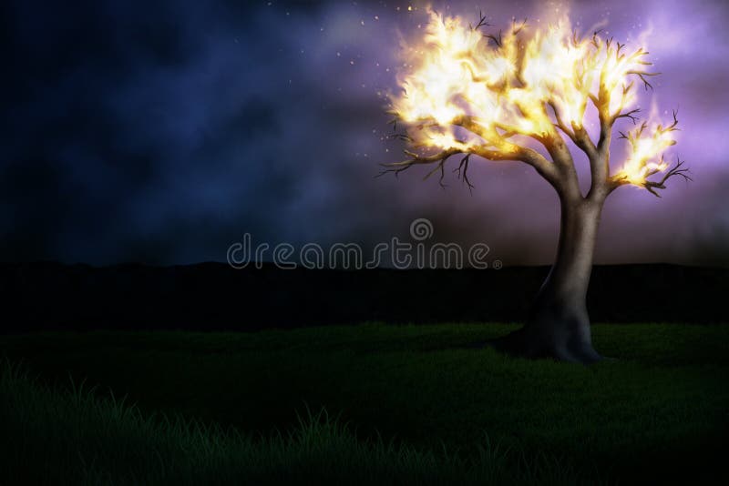 Burning Tree stock illustration. Illustration of night - 13876119