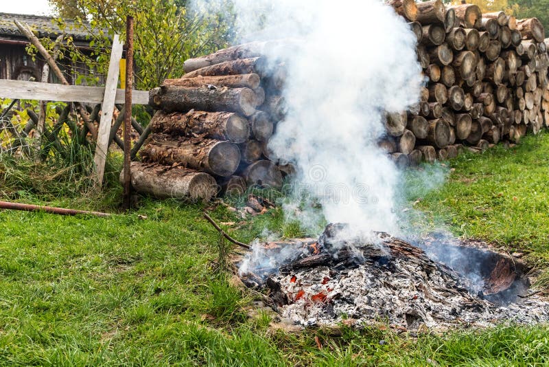 Burning Tree Bark. Outdoor Fireplace. Disposal of Bark Beetles. Work on ...