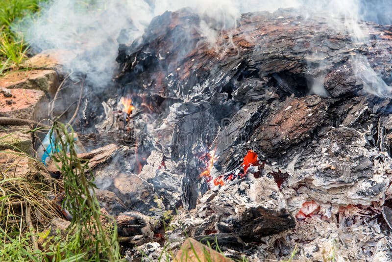 Burning Tree Bark. Outdoor Fireplace. Disposal of Bark Beetles. Work on ...