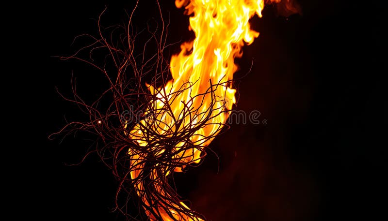 Burning Tree Branch Fire, Open Flame, Bonfire, Wood Fire, Outdoor Heat ...