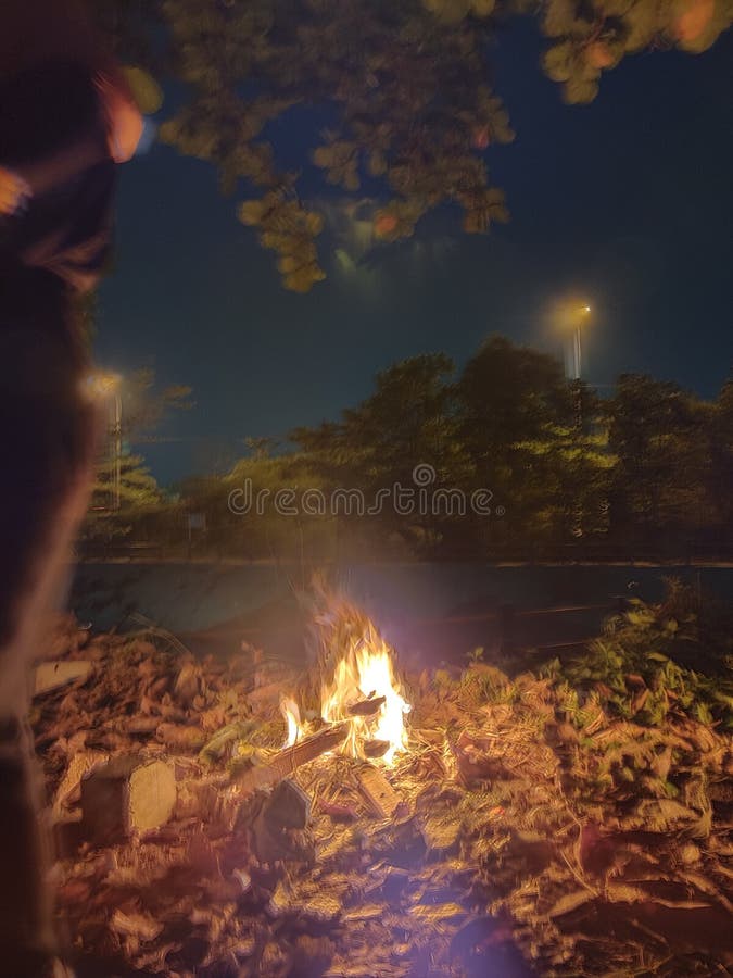 Burning tree stock photo. Image of tree, burning, night - 267049584