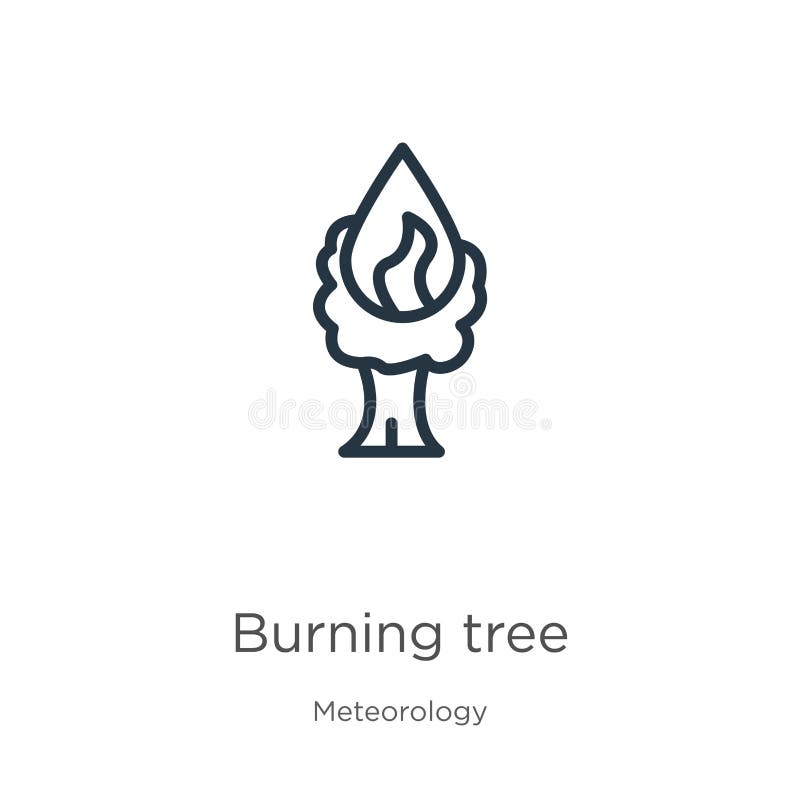 Burning Tree Icon. Thin Linear Burning Tree Outline Icon Isolated on ...