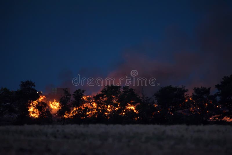 Forest fire at night stock photo. Image of flame, environment - 102606432