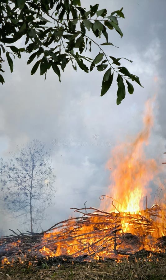 Burning of Unused Branches in the Field Stock Image - Image of outdoors ...