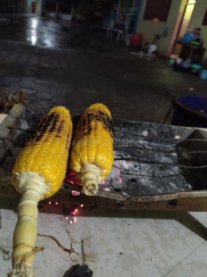 Two roasted corn stock photo. Image of corn, roated - 263468286