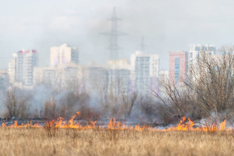 Burning Vegetation in Meadows Near the City Stock Photo - Image of ...