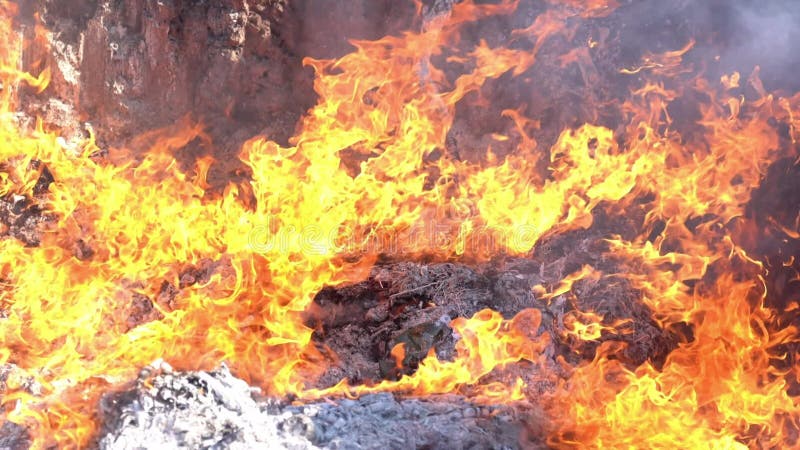 Burning Waste in Fire Pit on Sunny Day. Stock Footage - Video of ...