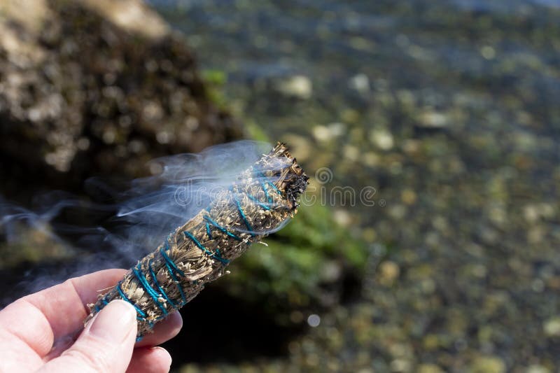 Burning White Sage Smudge Stick Close Up Stock Image - Image of cleanse ...