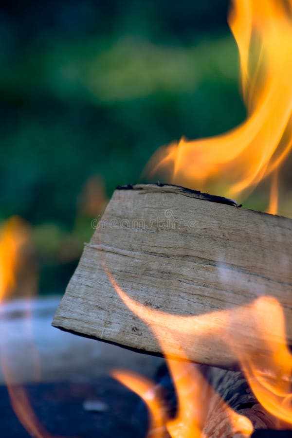 Burning wood stock photo. Image of ember, hell, coal, green - 5893686
