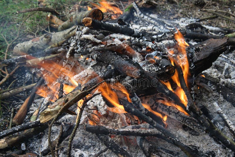 Burning wood stock photo. Image of bonfire, heat, inferno - 5915862