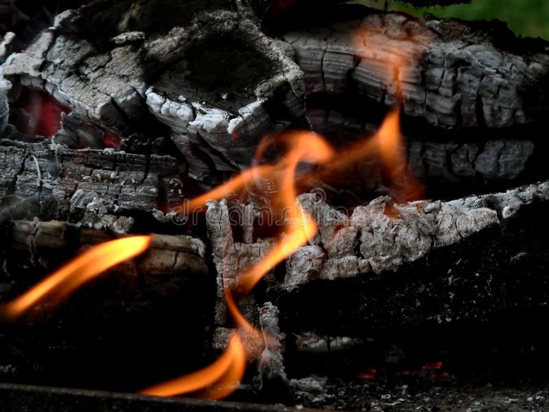 Burning Wood stock image. Image of burning, burn, wood - 653215