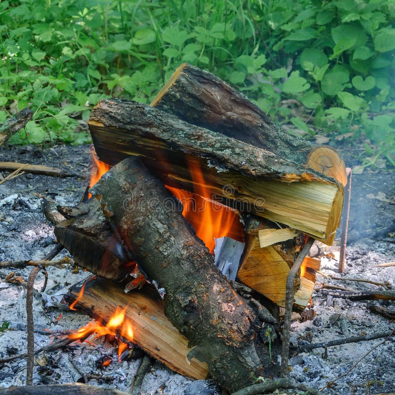 Burning Wood for Barbecue. the Fire in the Forest Stock Photo - Image ...