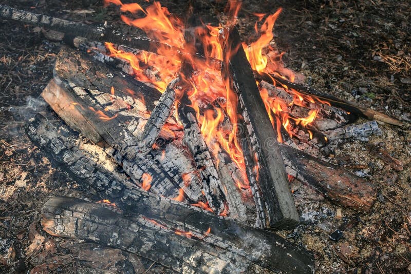 Burning wood campfire stock image. Image of flames, flare - 87546563