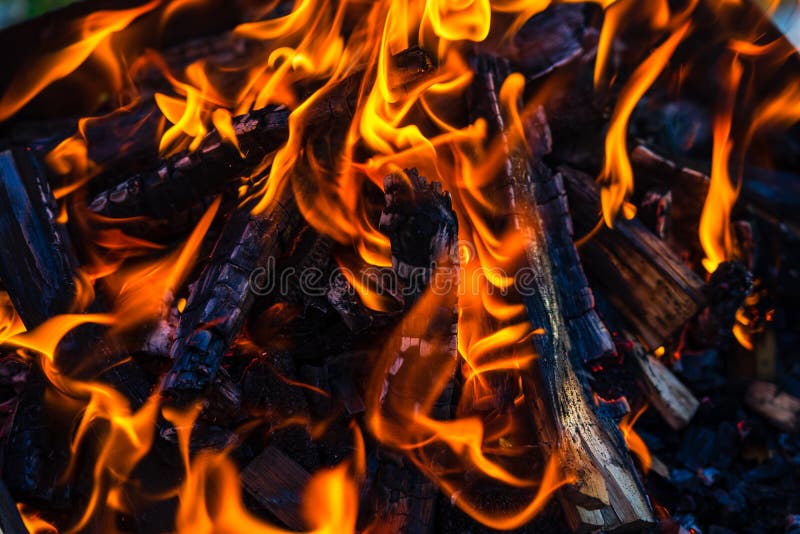 Burning Wood Chips To Form Coal. Barbecue Preparation, Fire before ...