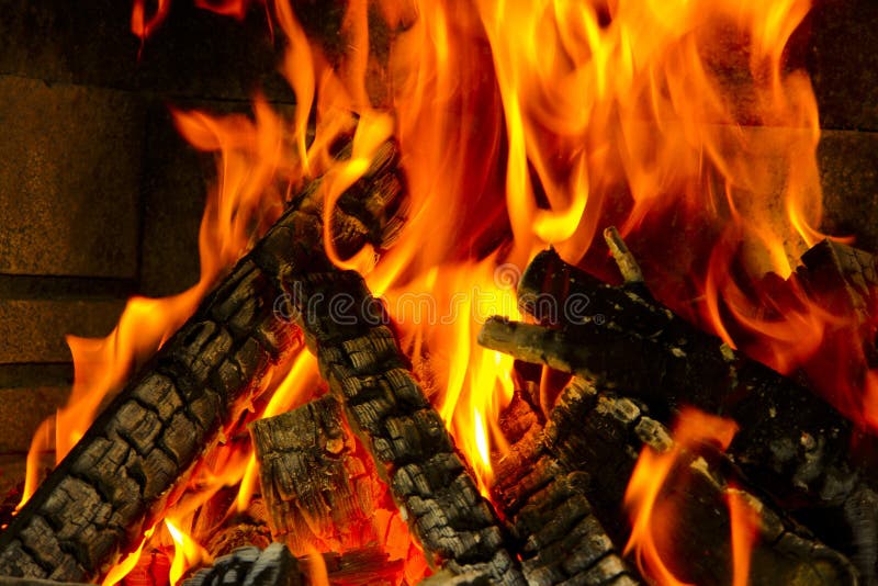 Burning wood on fire stock photo. Image of heat, incendiary - 24608910