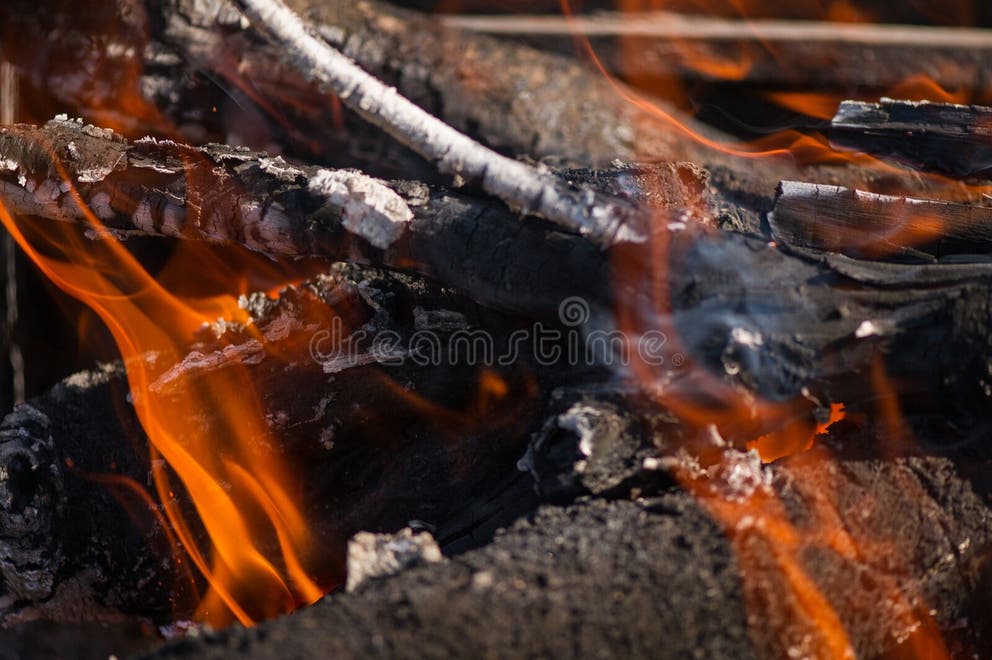 Burning wood fire stock image. Image of bonfire, live - 92237229