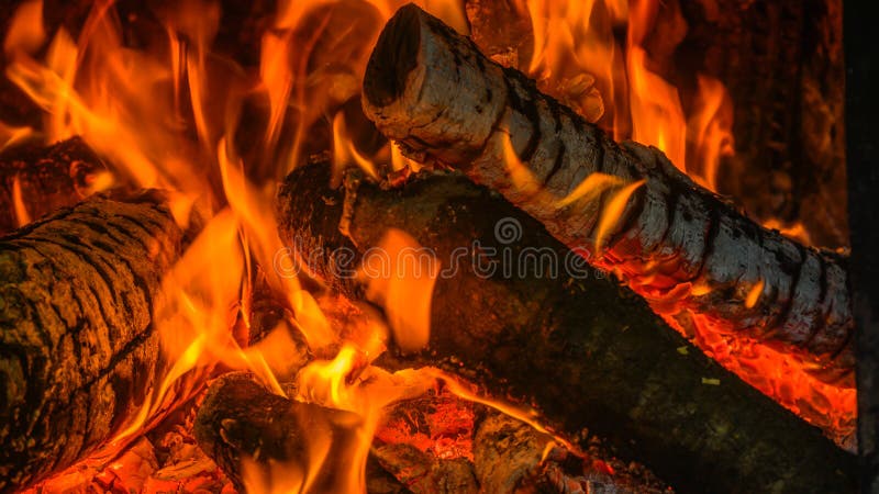 Burning Wood in the Fire Pit Stock Image - Image of burning, 2023: ...