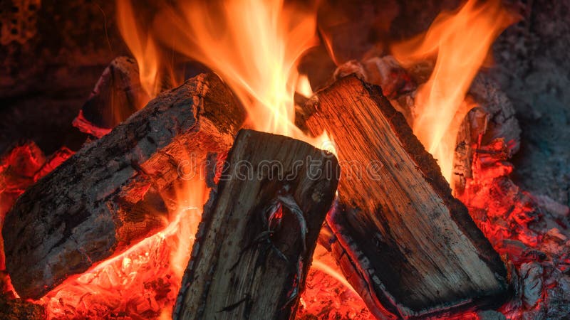 Burning wood and flames stock photo. Image of 2022, fire - 259046742