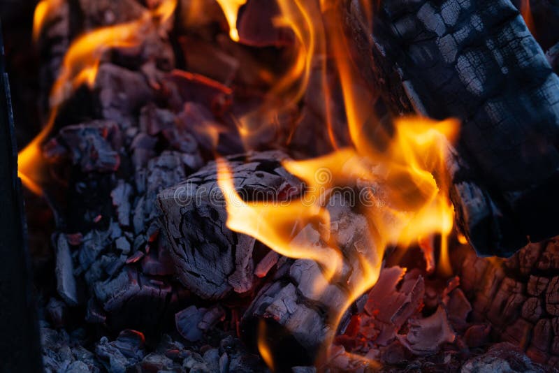 Burning Wood Logs, Cooking on Fire, Warm Evening, Sparkles in the Air ...