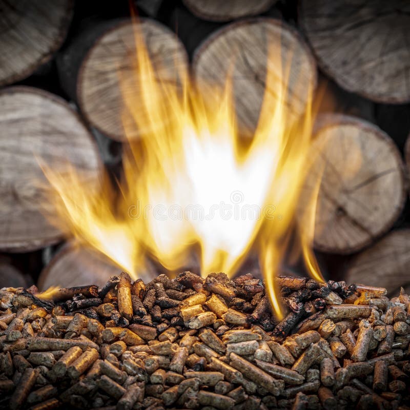 Pellet wood tree stock photo. Image of mass, material - 10931060