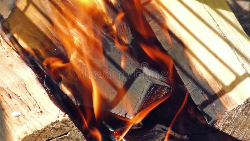 Burning Wood Fire in the Open Air. Flame of Fire in Nature. Close-up ...