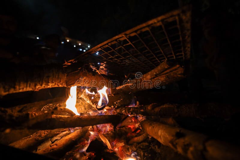 Burning Wooden Logs for Barbecue or Skewer Stock Photo - Image of ...