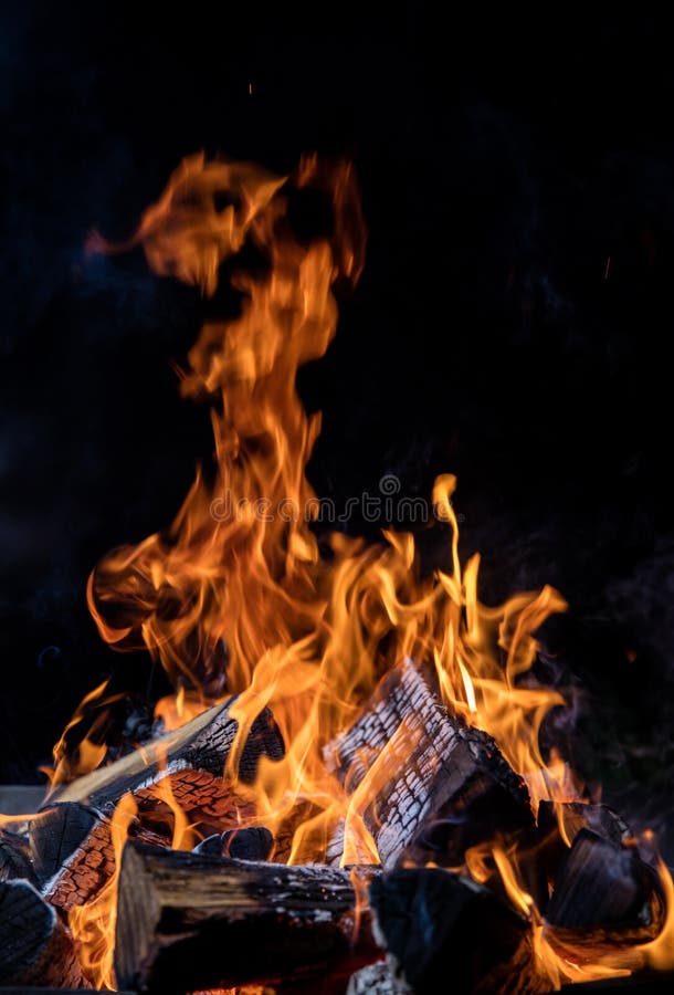 Burning Wooden Logs in Fire, Campfire on Black Stock Photo - Image of ...