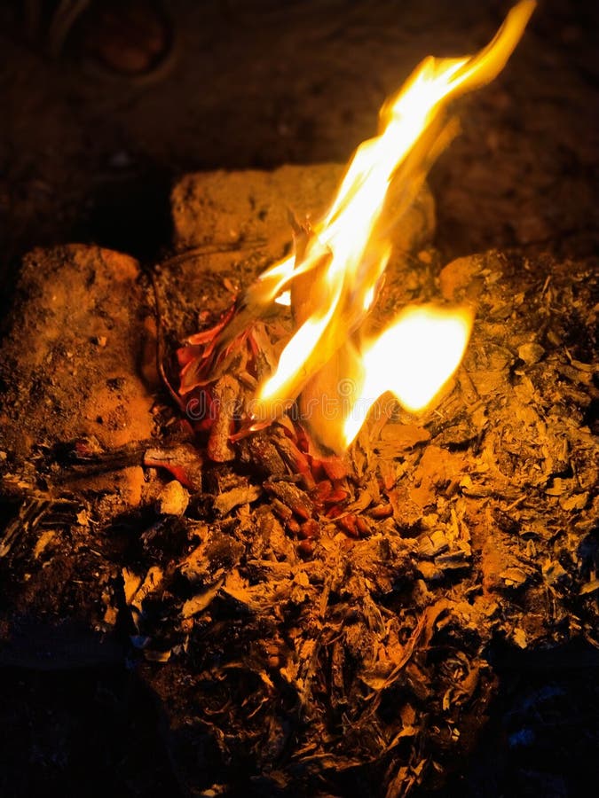 Burning Woods . Small Fire Captured ðŸ˜ Stock Photo - Image of burning ...